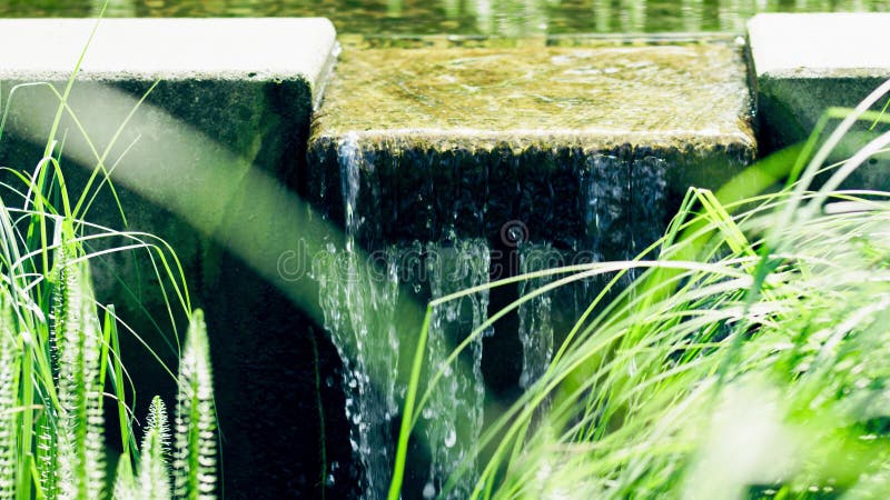 Small Waterfall and Green Grass in the Park, Close-up Shot Stock Photo ...