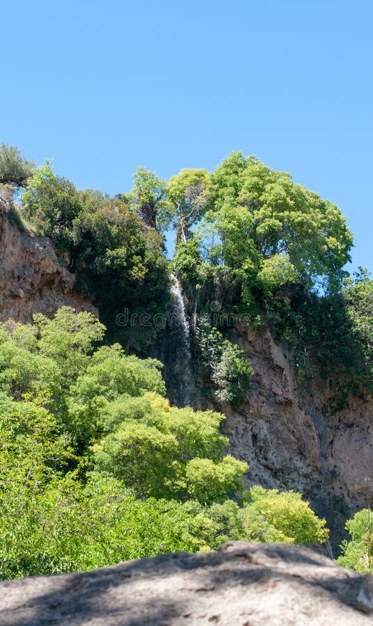 Small Waterfall among Green Trees Blue Sky on Background Stock Photo ...