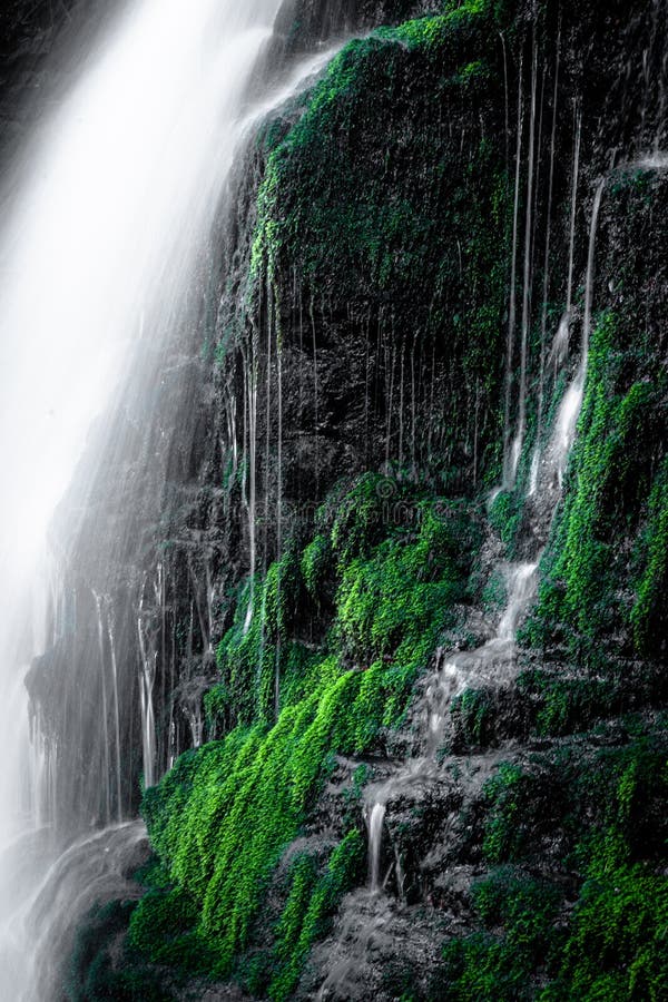 A Small Waterfall in an Hidden Place in Black Forrest Stock Image ...
