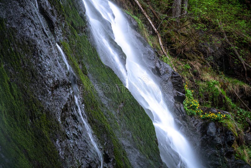 A Small Waterfall in an Hidden Place in Black Forrest Stock Photo ...