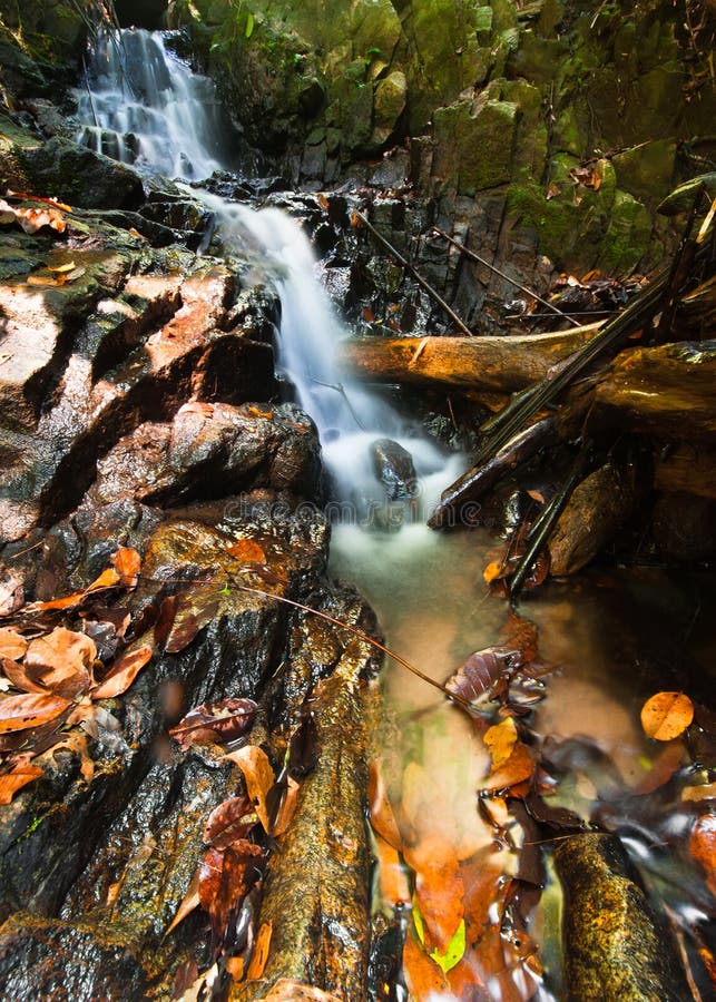 Waterfall Hidden in the Tropical Jungle in the Heart of Bolivia Stock ...