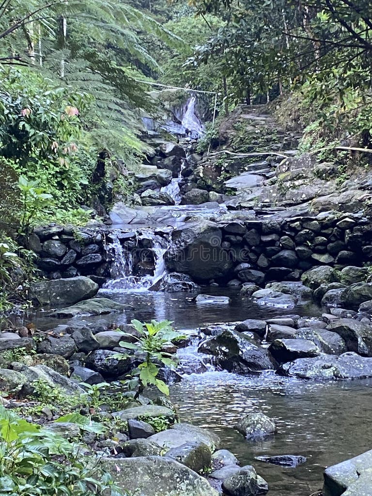 371 Can You Make Image Vbisio Stock Photos - Free & Royalty-Free Stock ...