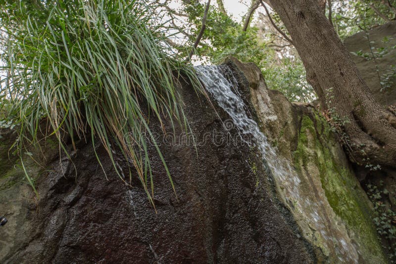 A Small Waterfall Immersed in the Spring Green Trees Stock Photo ...