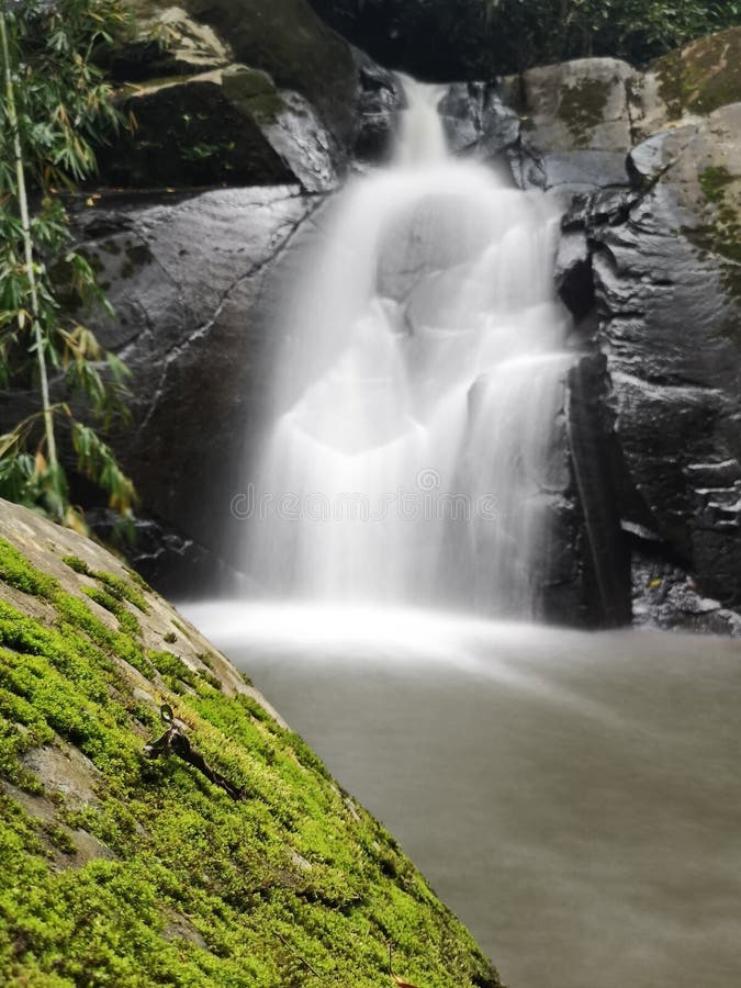 Small Waterfall Inâ€‹ the Forest Stock Photo - Image of leaf ...
