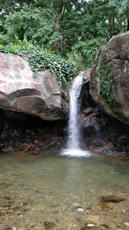 Waterfall stock image. Image of waterfall, forest, small - 122781069