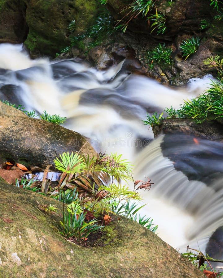 Small waterfall in jungle stock photo. Image of borneo - 55596590