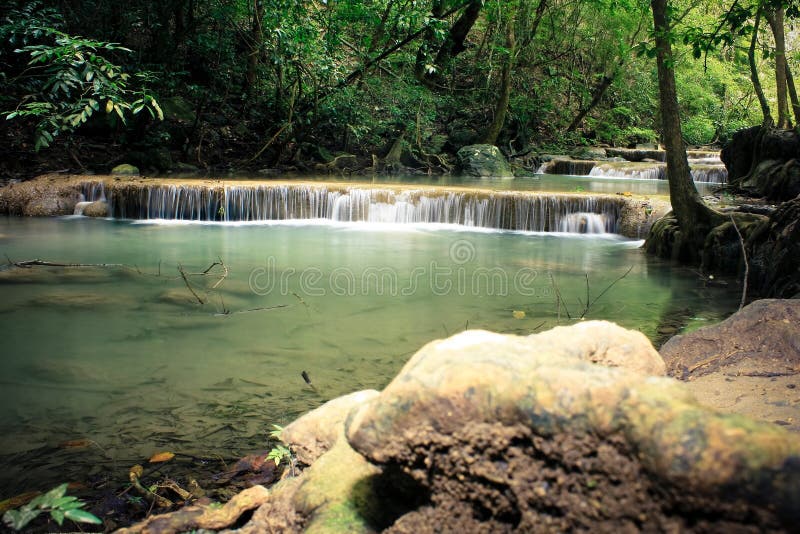 A Small Waterfall in the Jungle Stock Image - Image of summer, nature ...