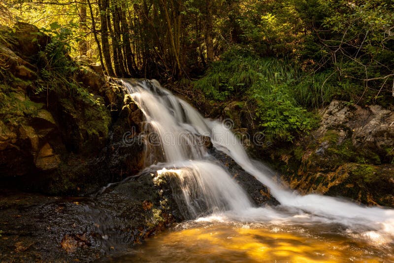 Small Waterfall with Long Exposure in a Forest on a Sunny Day Stock ...