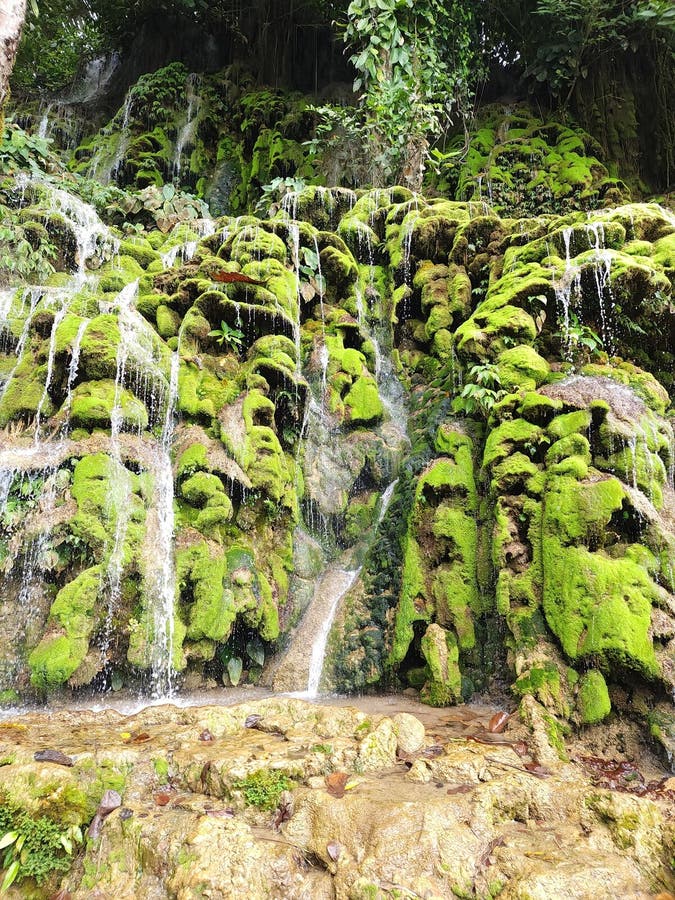 Small Waterfall between Moss Rocks Stock Image - Image of nature, moss ...