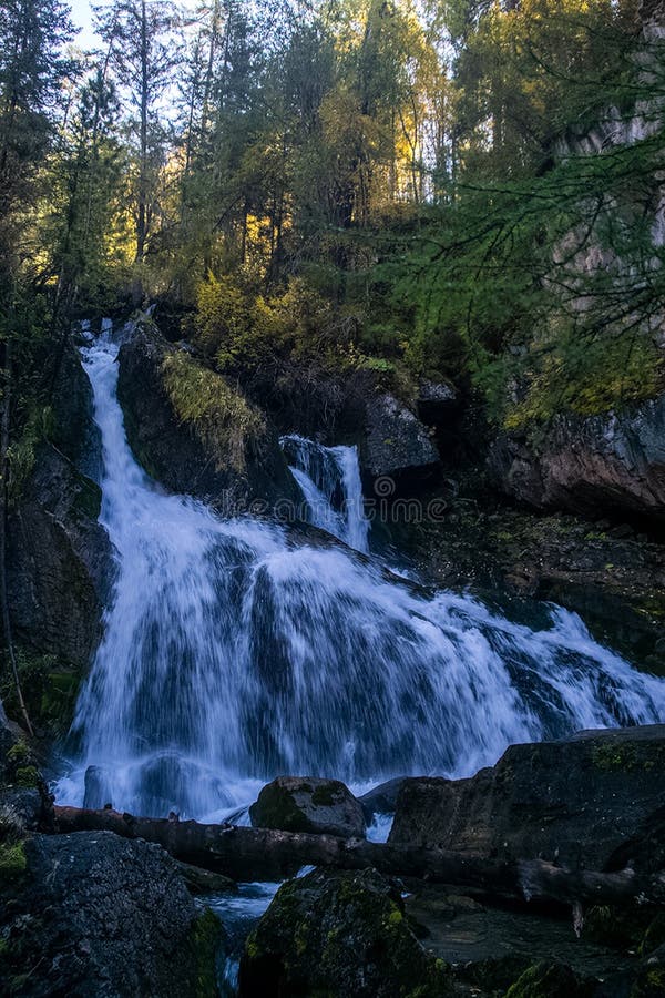Small Waterfall on a Mountain River in the Altai. the Altai Mountain ...
