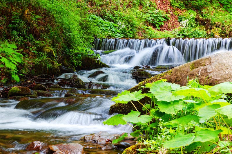 A Small Waterfall, a Mountain Stream. Stock Image - Image of grass ...