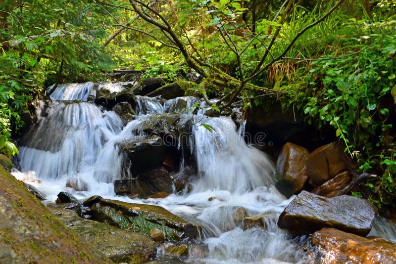 A Small Waterfall of a Mountain Stream in the Forest Stock Photo ...