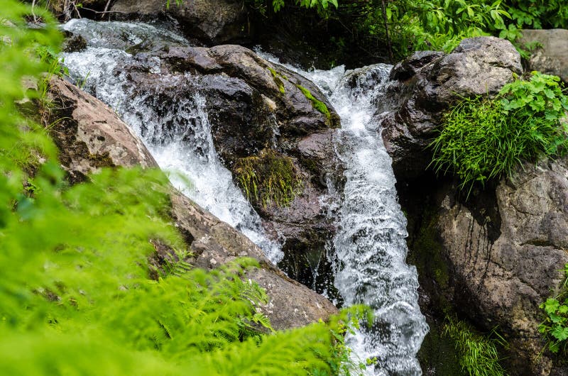 Small Waterfall Mountain Stream Stock Image - Image of national ...
