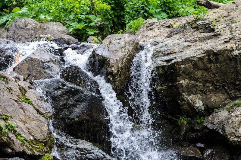 Small Waterfall Mountain Stream Stock Photo - Image of dampness, drops ...