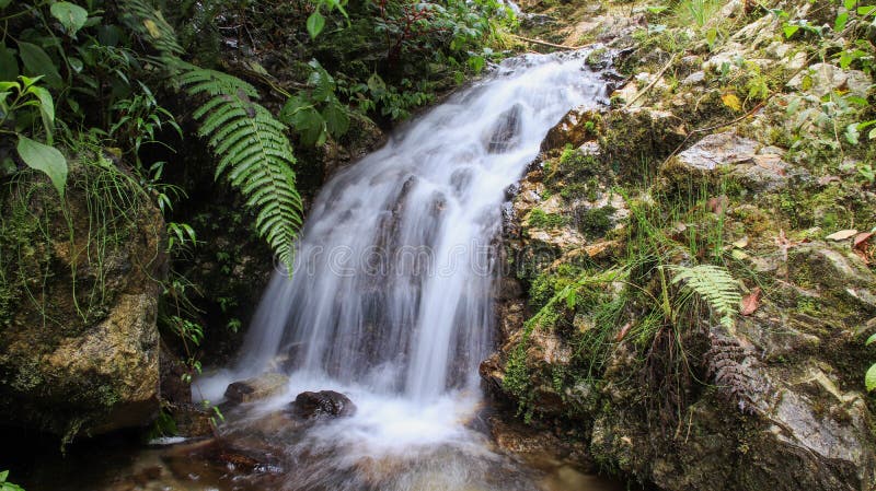 Small waterfall in nature stock photo. Image of nature - 217646468