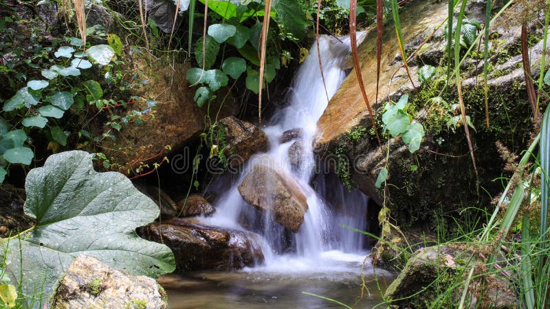 Small waterfall in nature stock photo. Image of river - 217646514