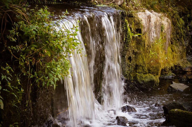 A Small Waterfall Overgrown with Grass Stock Image - Image of stream ...