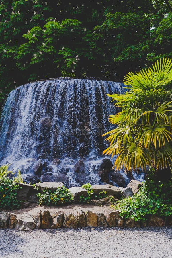 Palm Tree Waterfall stock photo. Image of verdant, palm - 13870584