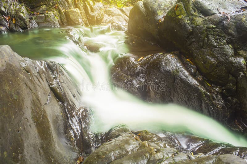 Small Waterfall in Rain Forest Stock Image - Image of river, small ...