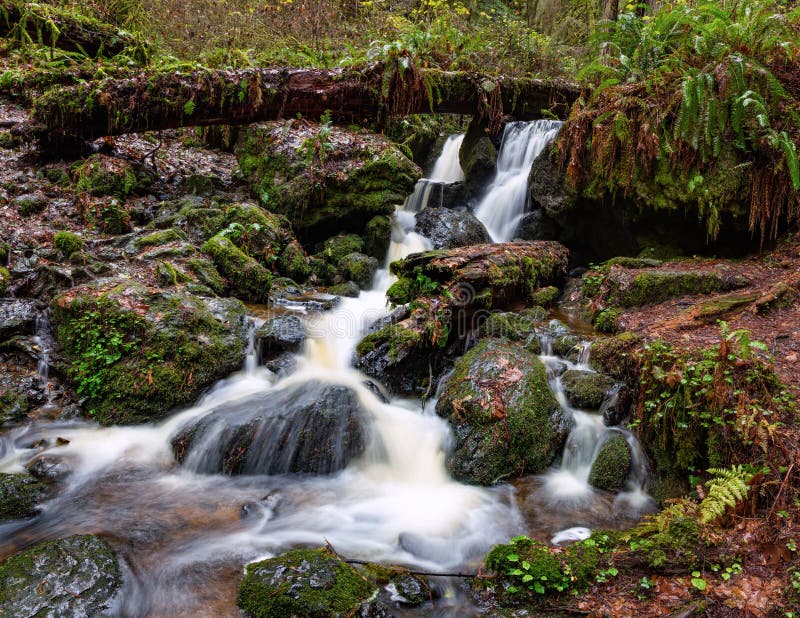 Small Waterfall in the Rain Forest Stock Photo - Image of plunge, fast ...