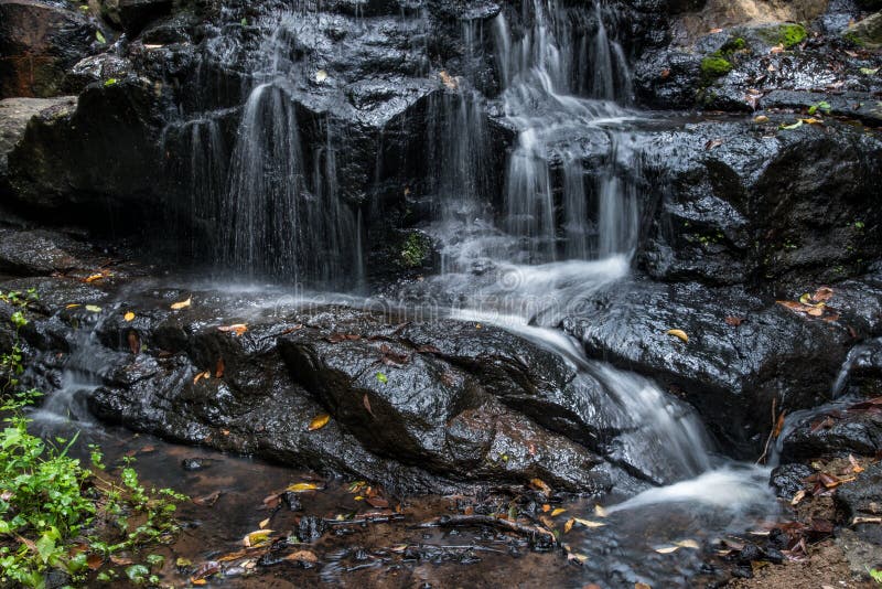 Small Waterfall in Rain Forest in National Park, Thailand Stock Image ...