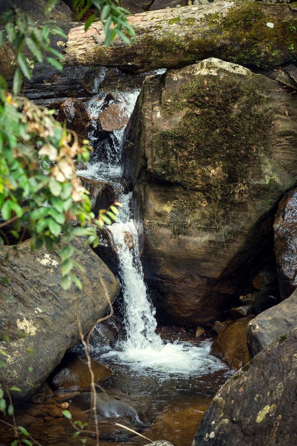 A Small Waterfall in the Rain Forest Stock Photo - Image of beautiful ...
