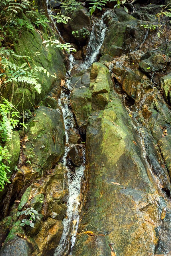 A Small Waterfall in the Rain Forest Stock Image - Image of stunningly ...