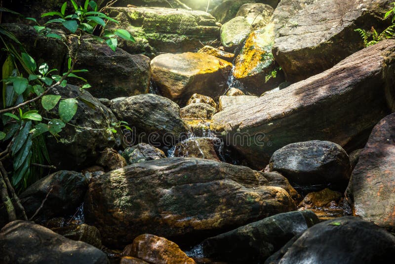 A Small Waterfall in the Rain Forest Stock Image - Image of stunningly ...