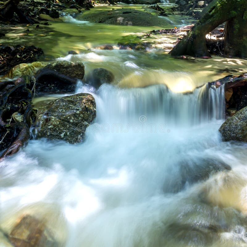 Small Waterfall in Rainforest. Stock Image - Image of natural, rock ...