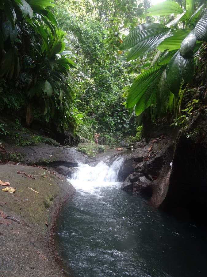 A Small Waterfall in the Rainforest Stock Photo - Image of lush ...