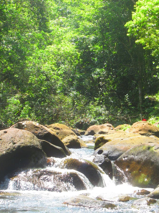 A Small Waterfall in the Rainforest Stock Image - Image of beautiful ...