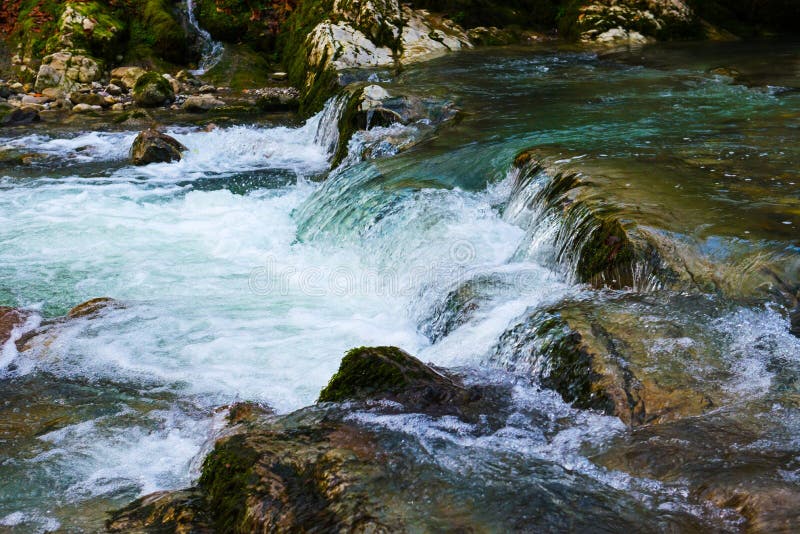 Small Waterfall on a River with Blue Clean Water in a Wild Forest Stock ...