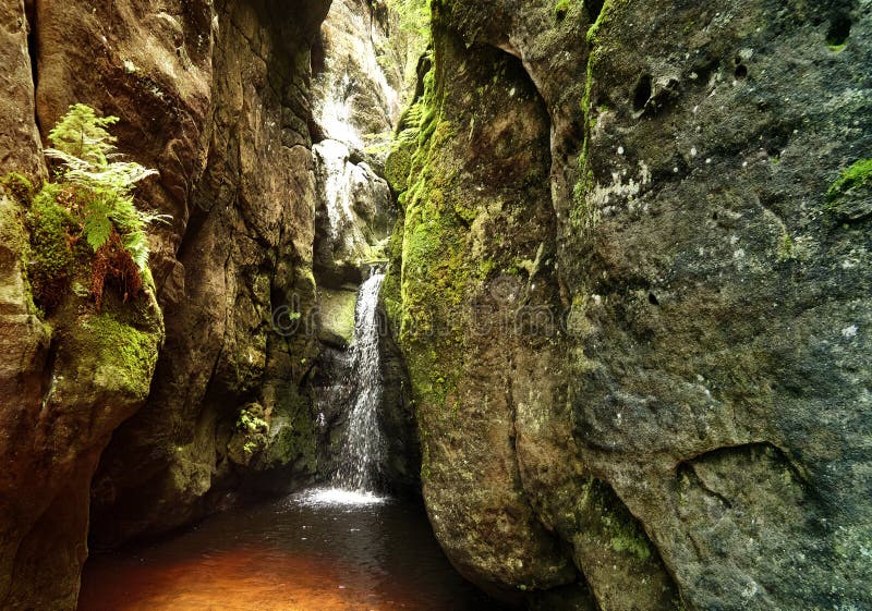 Small Waterfall between Rocks with a Fern in the Foreground Stock Photo ...