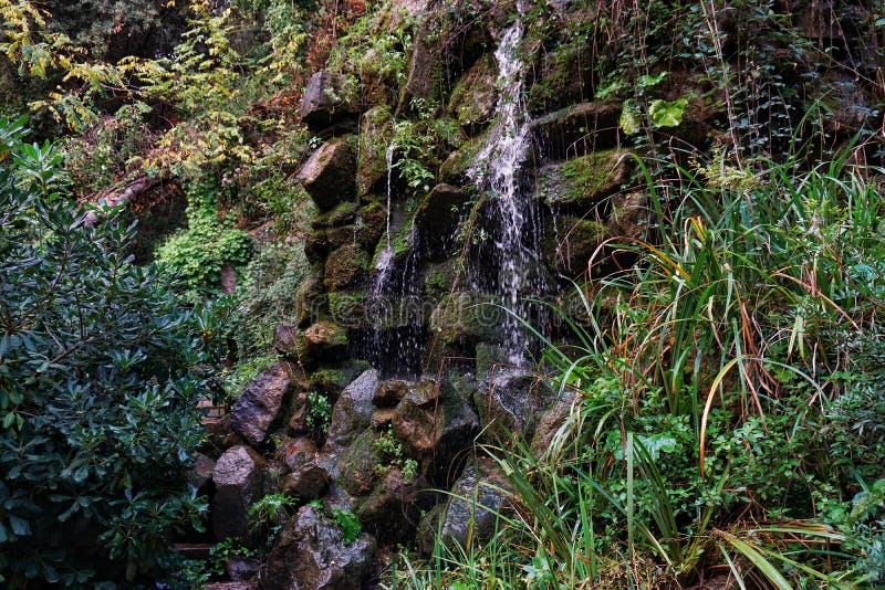 Small Waterfall in the Rocks of a Forest Jungle Stock Image - Image of ...