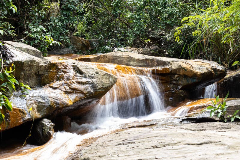 Small Waterfall Running through Rock Slab in Forest Surrounded by Trees ...