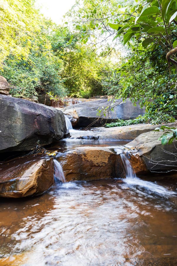 Small Waterfall Running through Rock Slab in Forest Surrounded by Trees ...