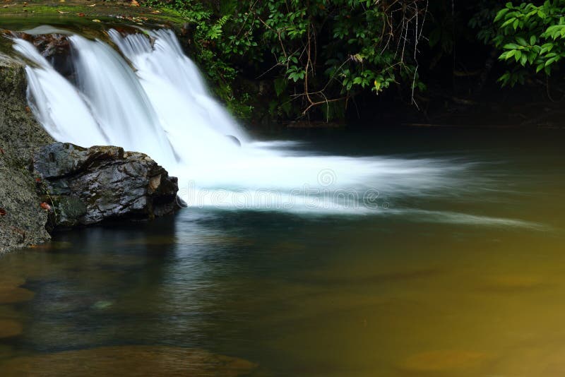 Small Waterfall in Shallow River in Deep Forest Jungle, Stock Photo ...