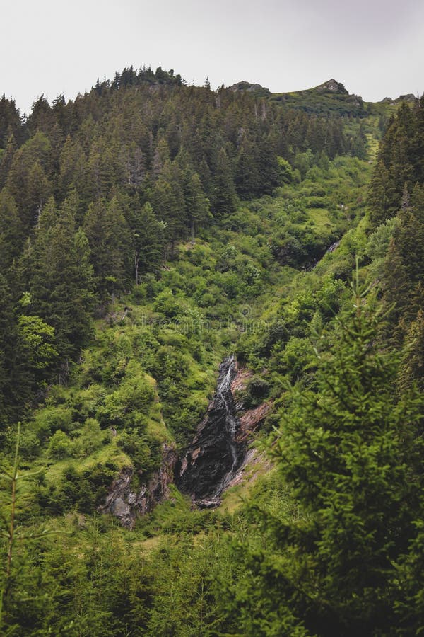A Small Waterfall that Springs from the High Mountain Full of Greenery ...