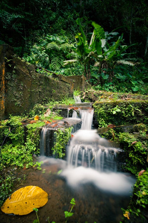 A Small Waterfall by the Stone Stairs in the Jungle Stock Image - Image ...