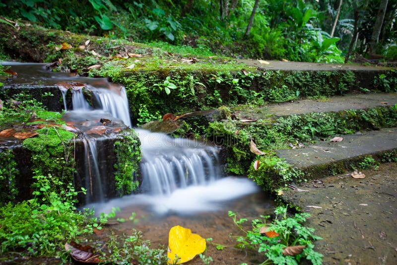 A Small Waterfall by the Stone Stairs in the Jungle Stock Image - Image ...