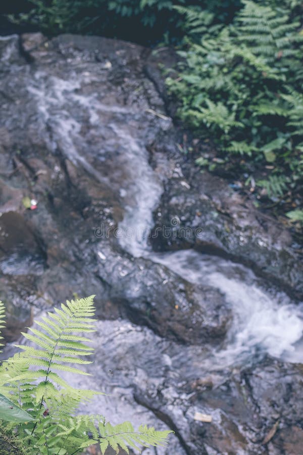 Small Waterfall and Stone with Water Motion in the Jungle of Bali ...