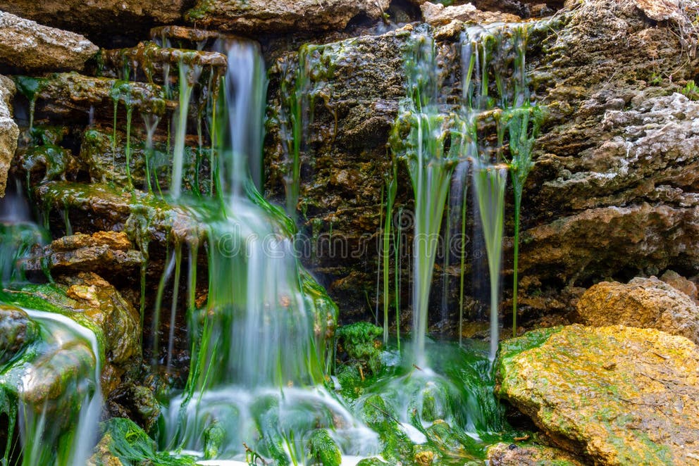 Small Waterfall on Stones Covered with Freshwater Green Algae ...