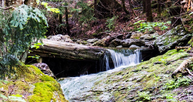 A Small Waterfall with Stones and an Old Tree Trunk Stock Photo - Image ...