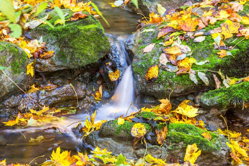 Small Waterfall in a Stream at Autumn Stock Photo - Image of leafs ...