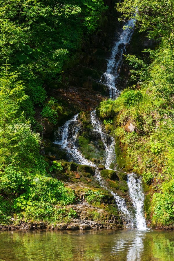 Small Waterfall Stream in the Forest Stock Photo - Image of clean, park ...