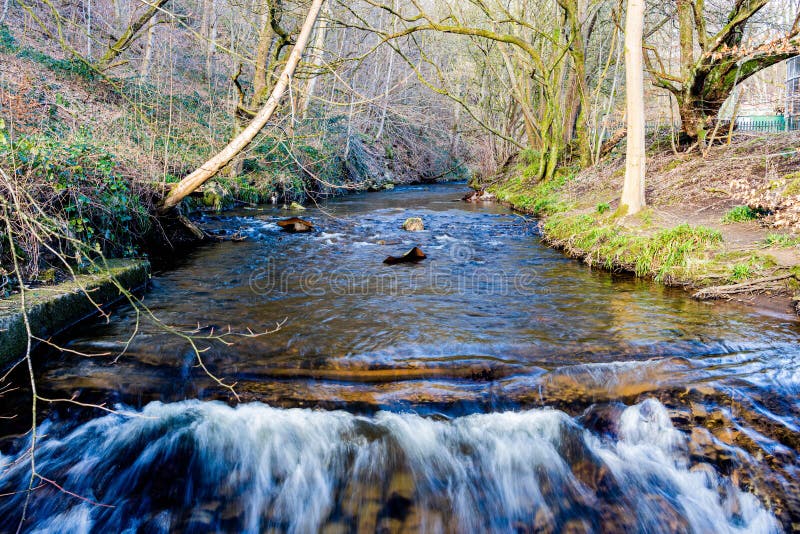 A Dried Reed on the Background of a Hill with Houses Stock Image ...