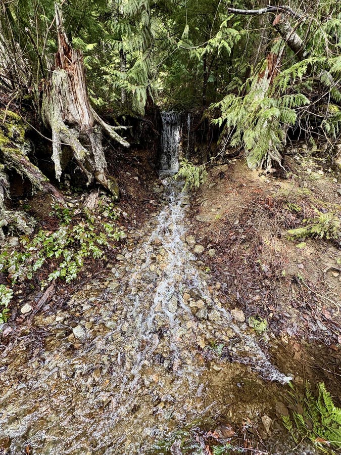 Small Waterfall and Stream in Forested Area Stock Image - Image of soil ...