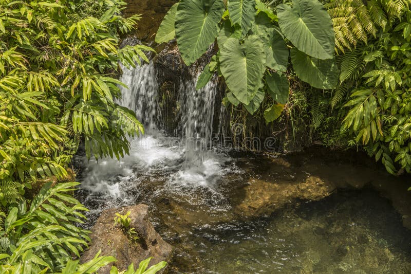 Small Waterfall into Stream in the Woods Stock Image - Image of leaves ...