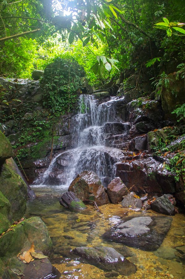 Small Waterfall in the Sumatran Rainforest Stock Image - Image of trees ...