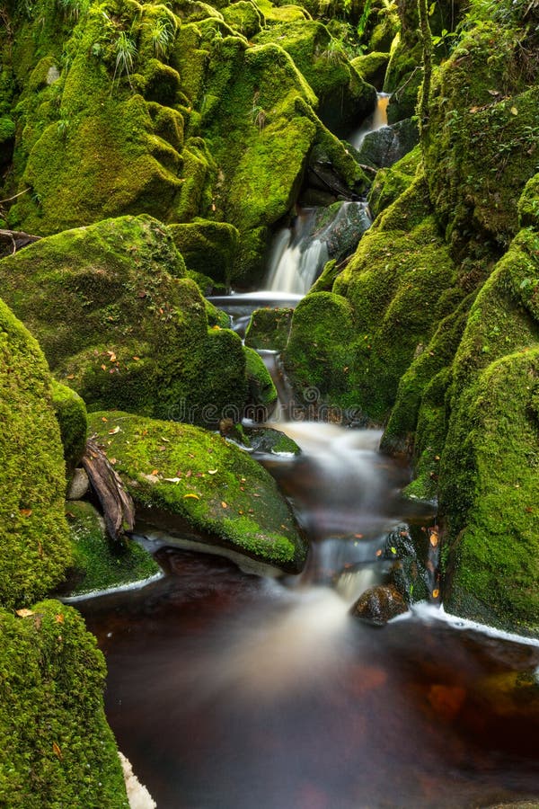 Waterfall Surrounded by Trees with Vivid Green Leaves in a Beautyfull ...